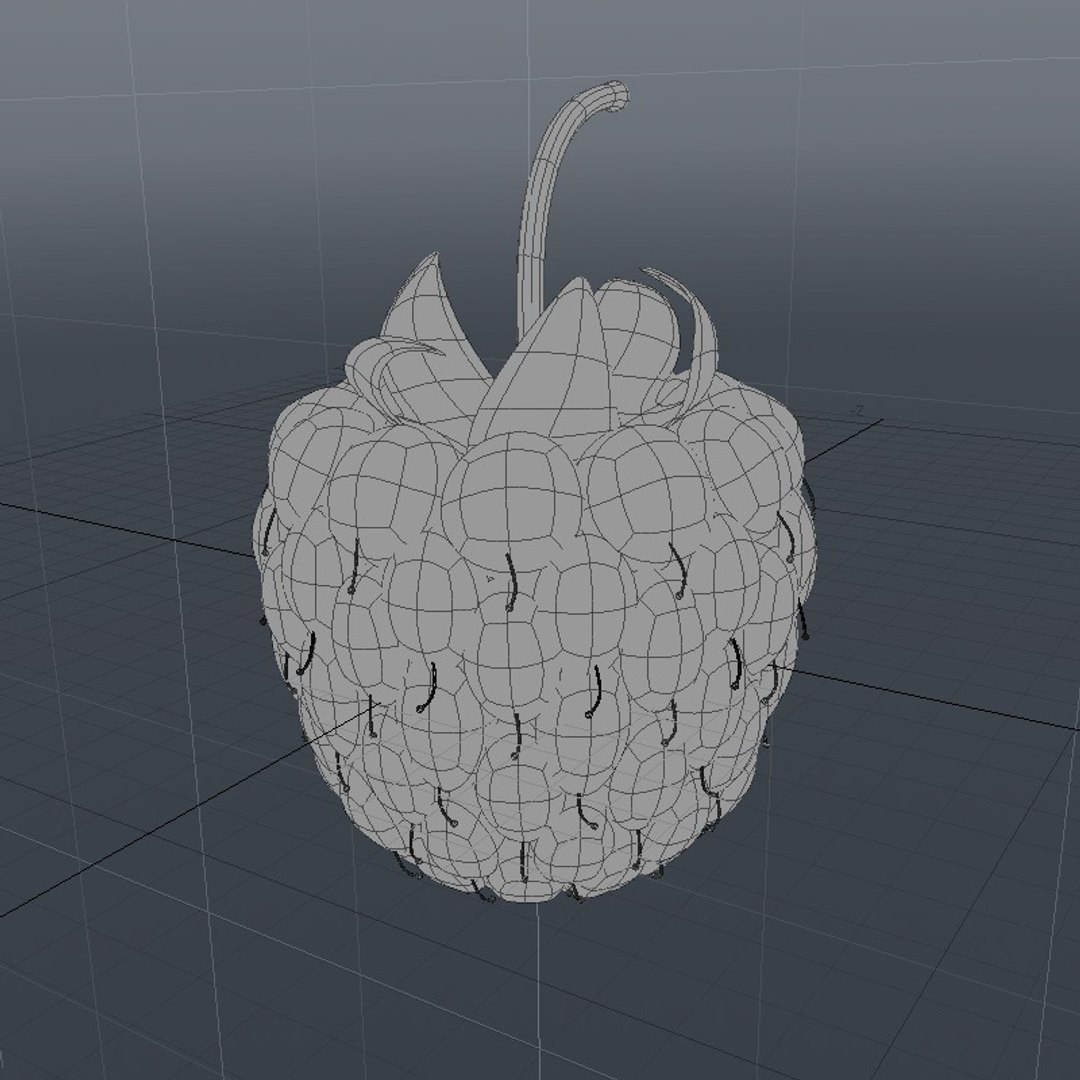 Raspberry Berry 3d Model