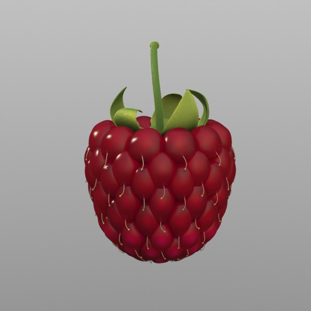 Raspberry Berry 3d Model