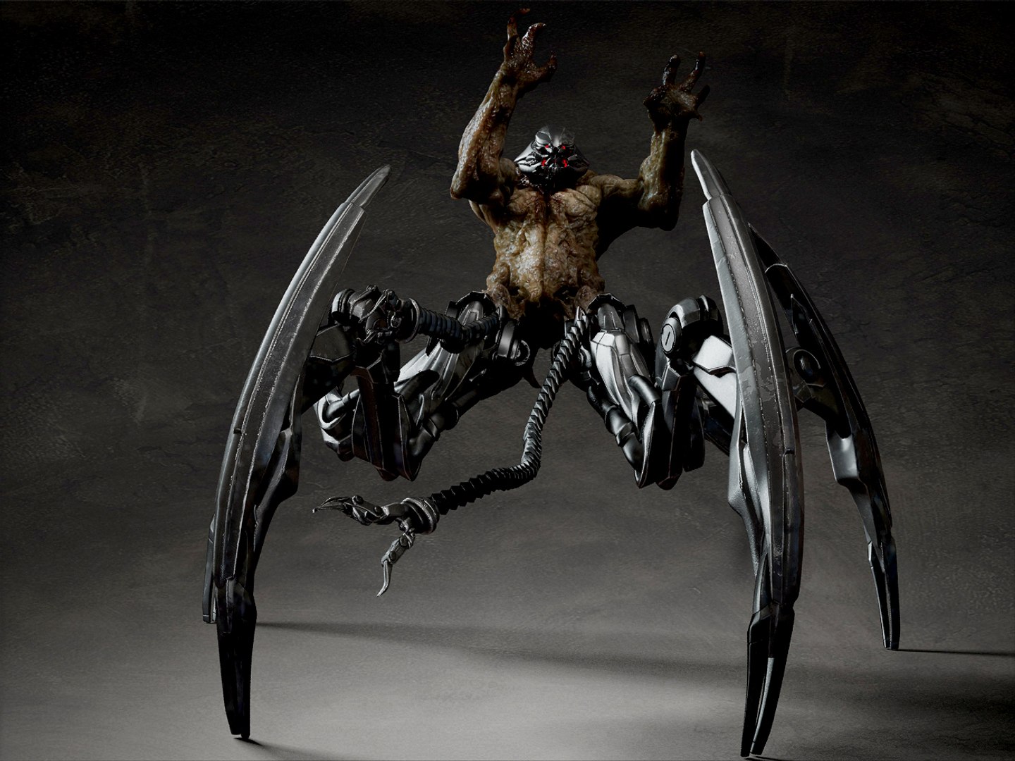 3d Robot Spider