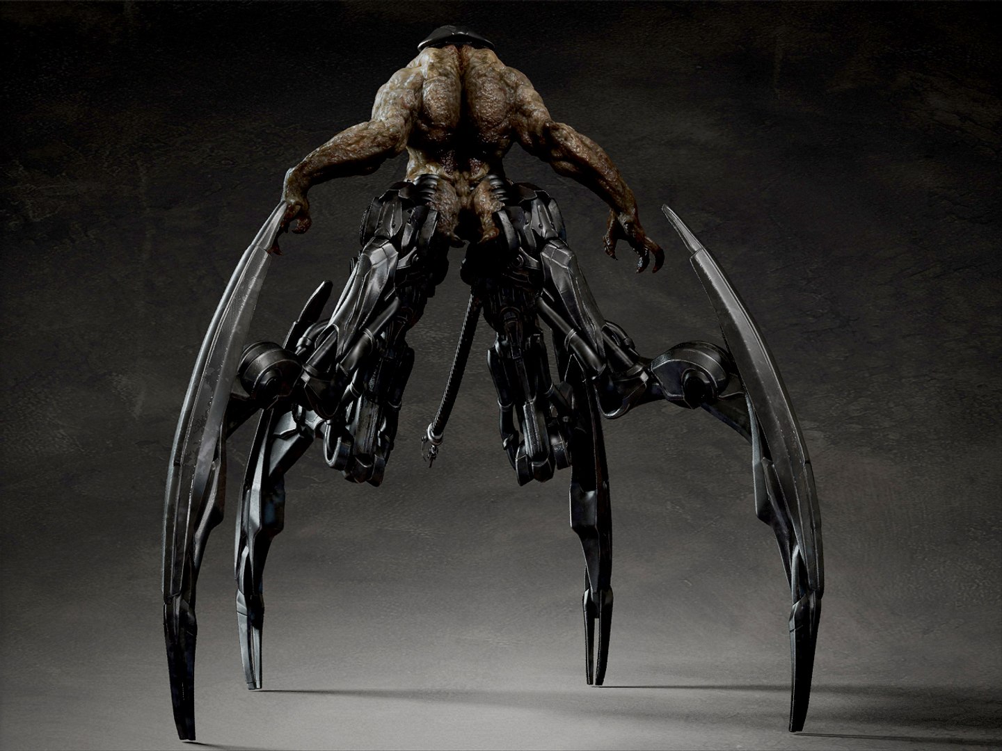 3d Robot Spider