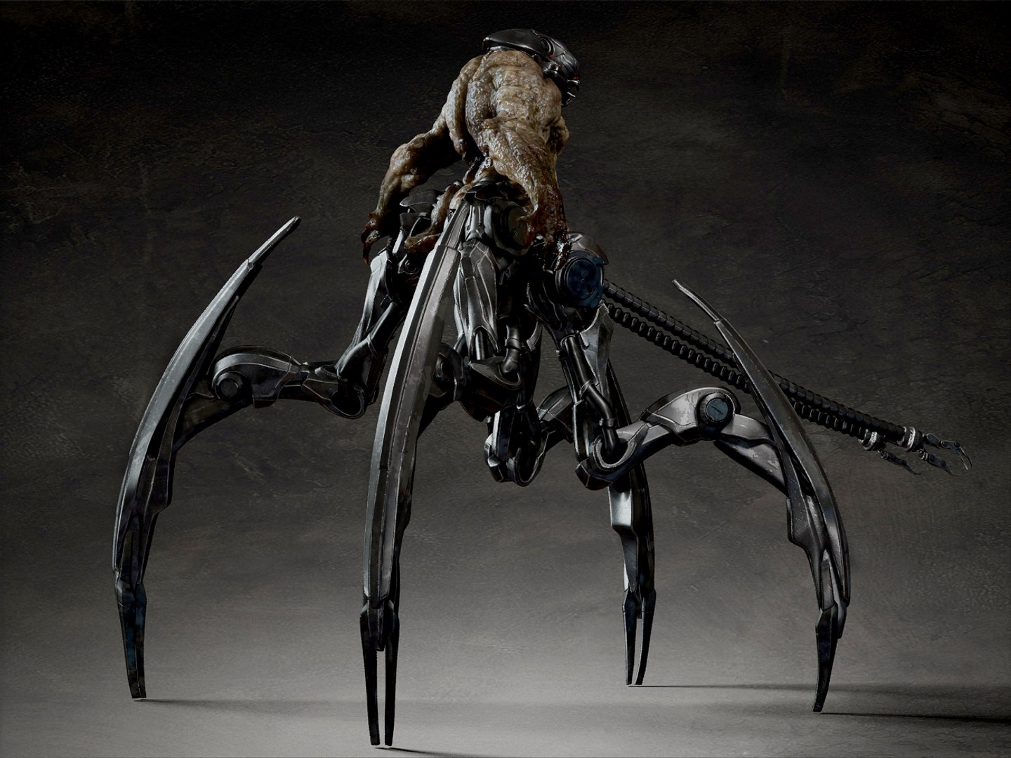 3d Robot Spider