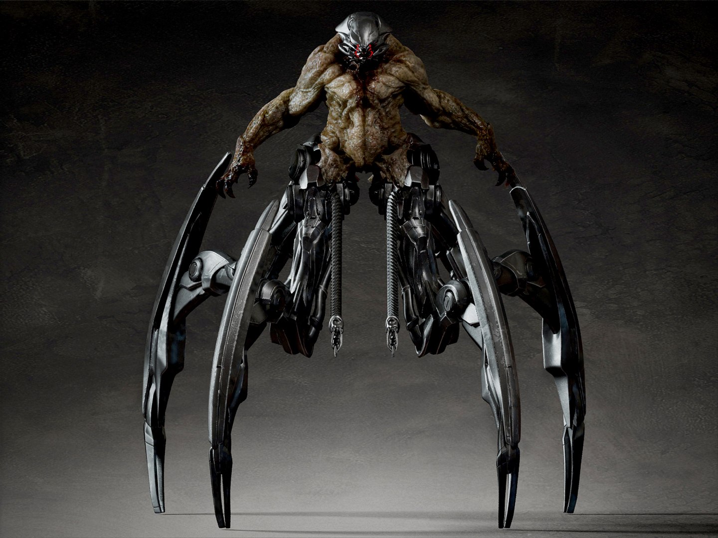 3d Robot Spider