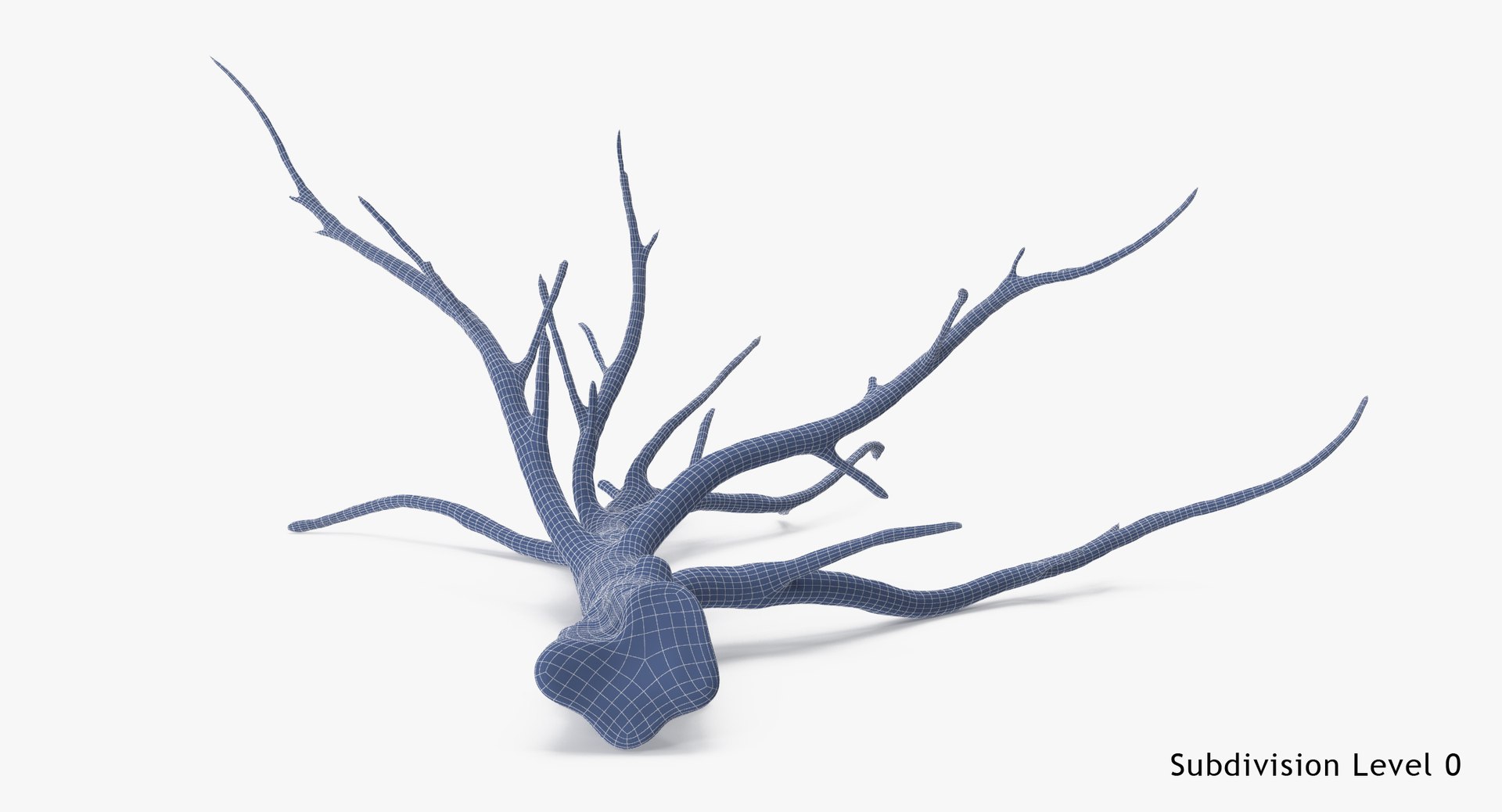 3d Model Fallen Logs Oak 01