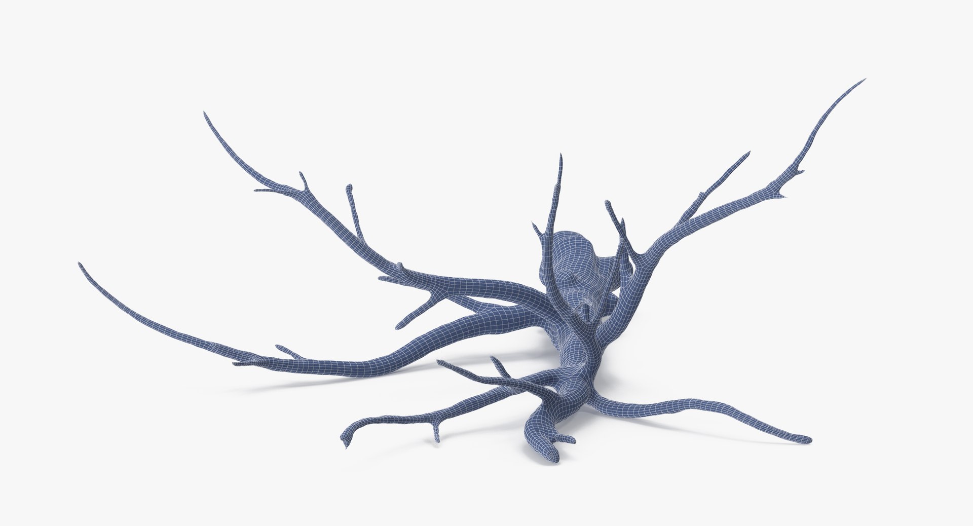 3d Model Fallen Logs Oak 01