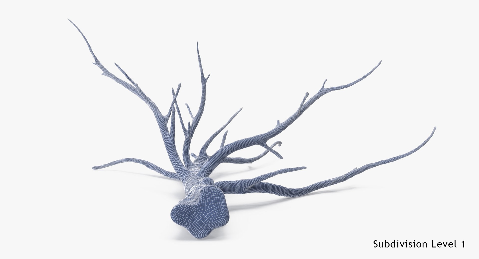 3d Model Fallen Logs Oak 01