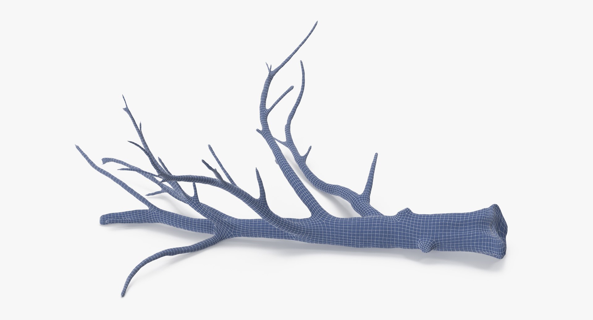 3d Model Fallen Logs Oak 01