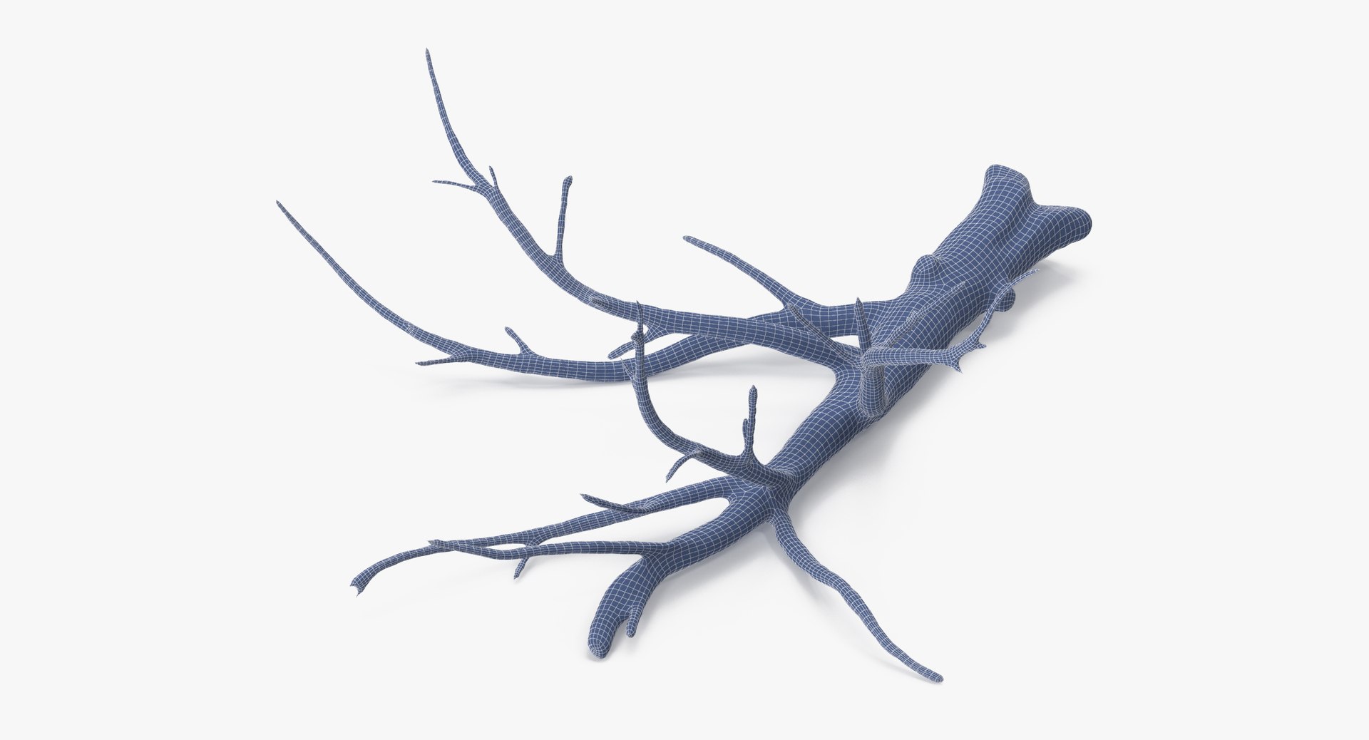 3d Model Fallen Logs Oak 01