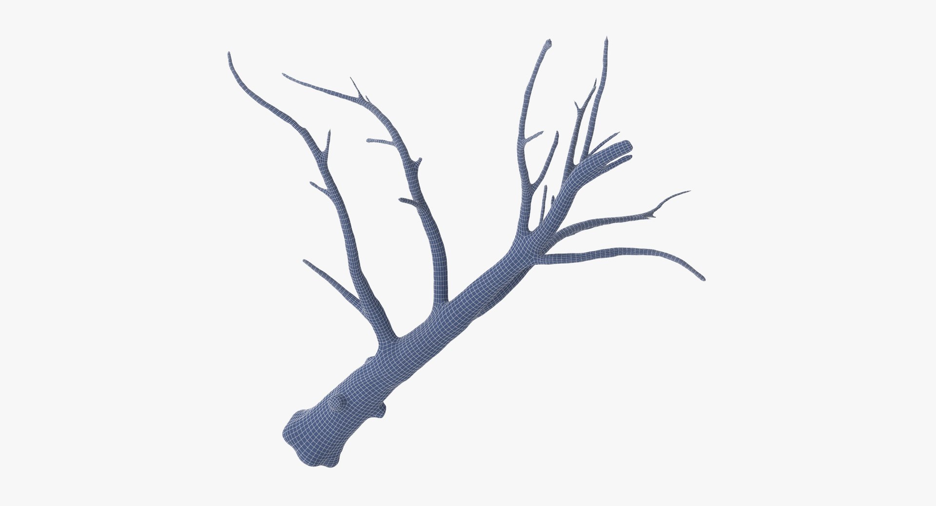 3d Model Fallen Logs Oak 01