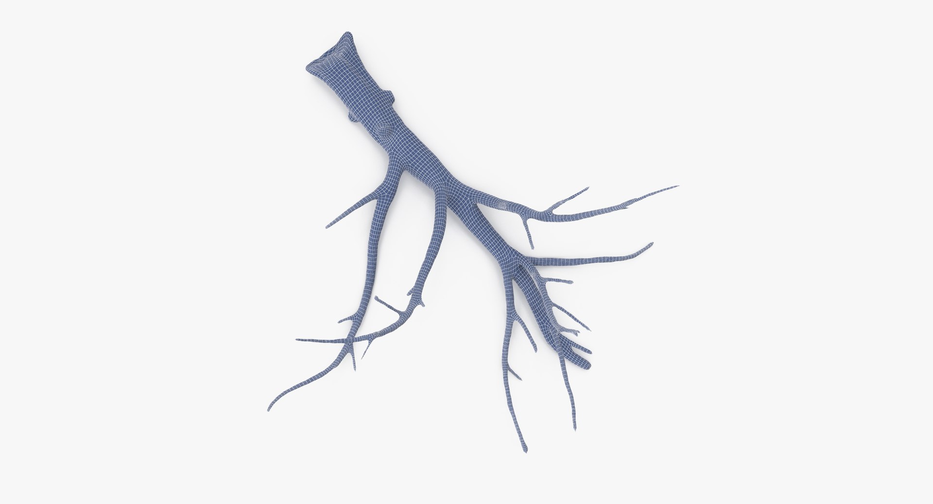 3d Model Fallen Logs Oak 01