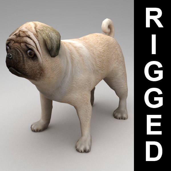3d 9 rigged dogs