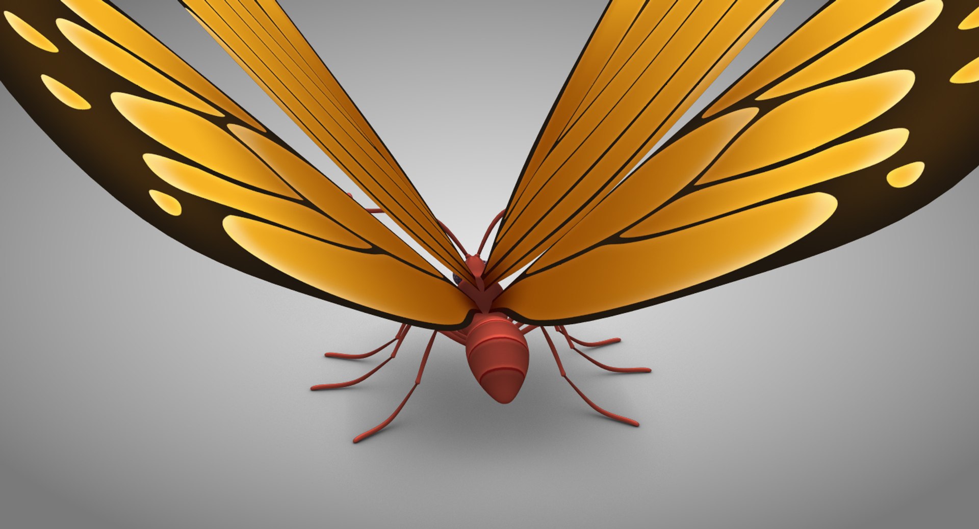 Max Beautiful Butterfly Cartoon