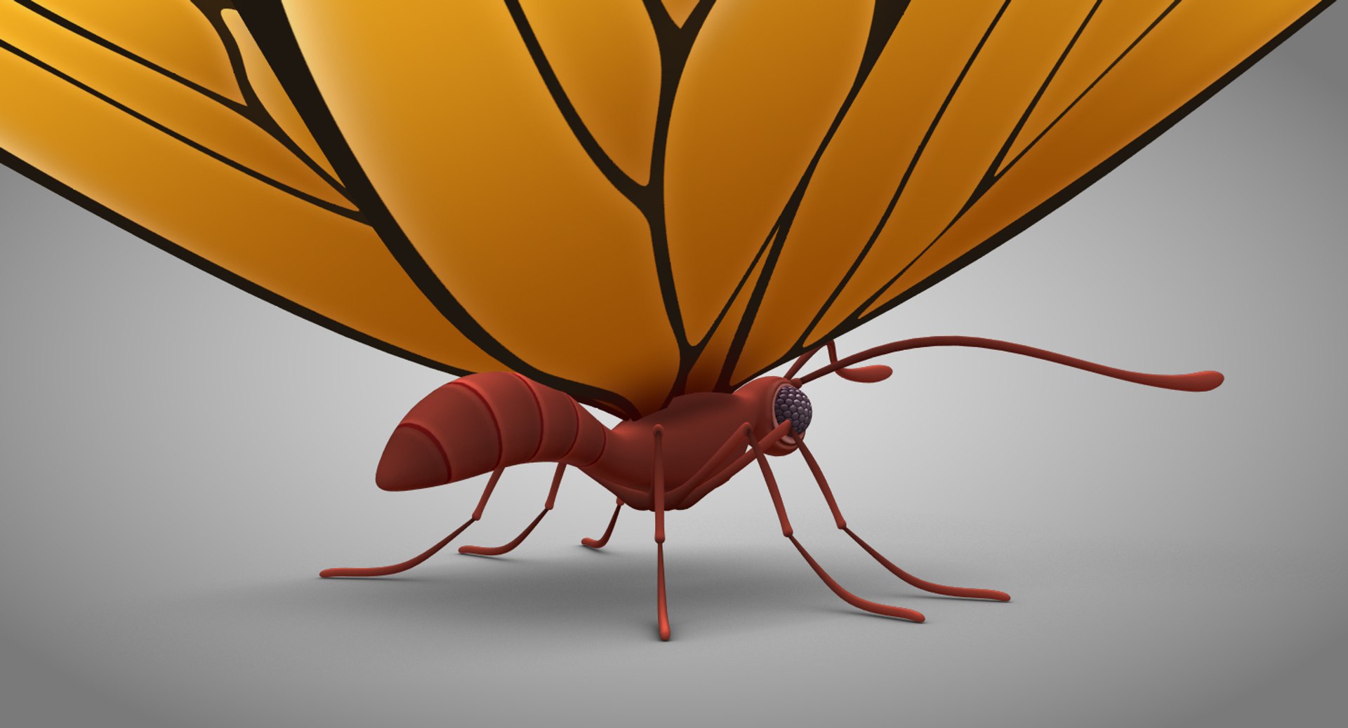 Max Beautiful Butterfly Cartoon