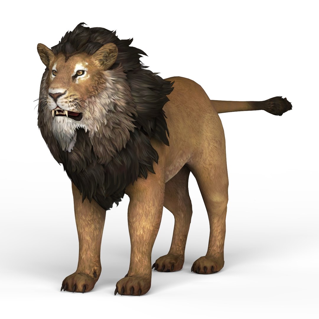 3D Lion Materials - TurboSquid 1505524