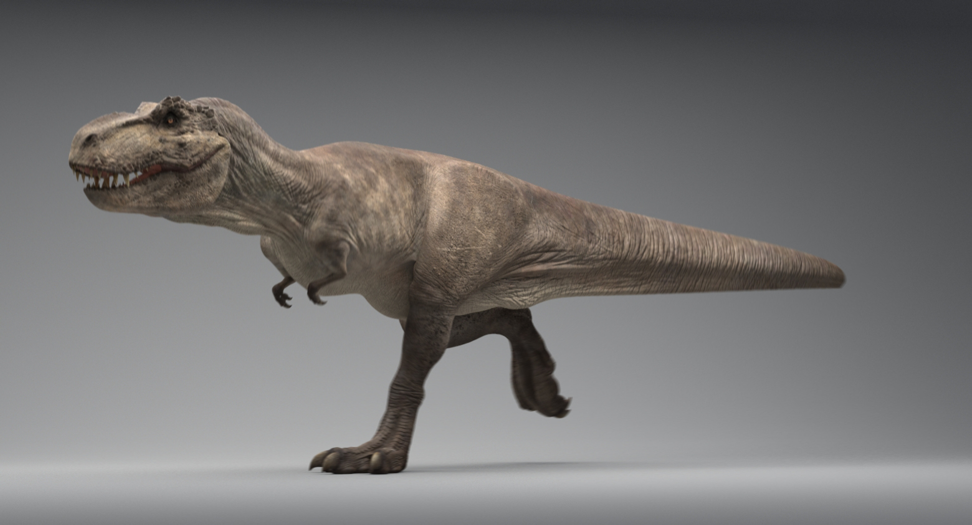 T-rex Rigging Animation 3D Model - TurboSquid 1194430