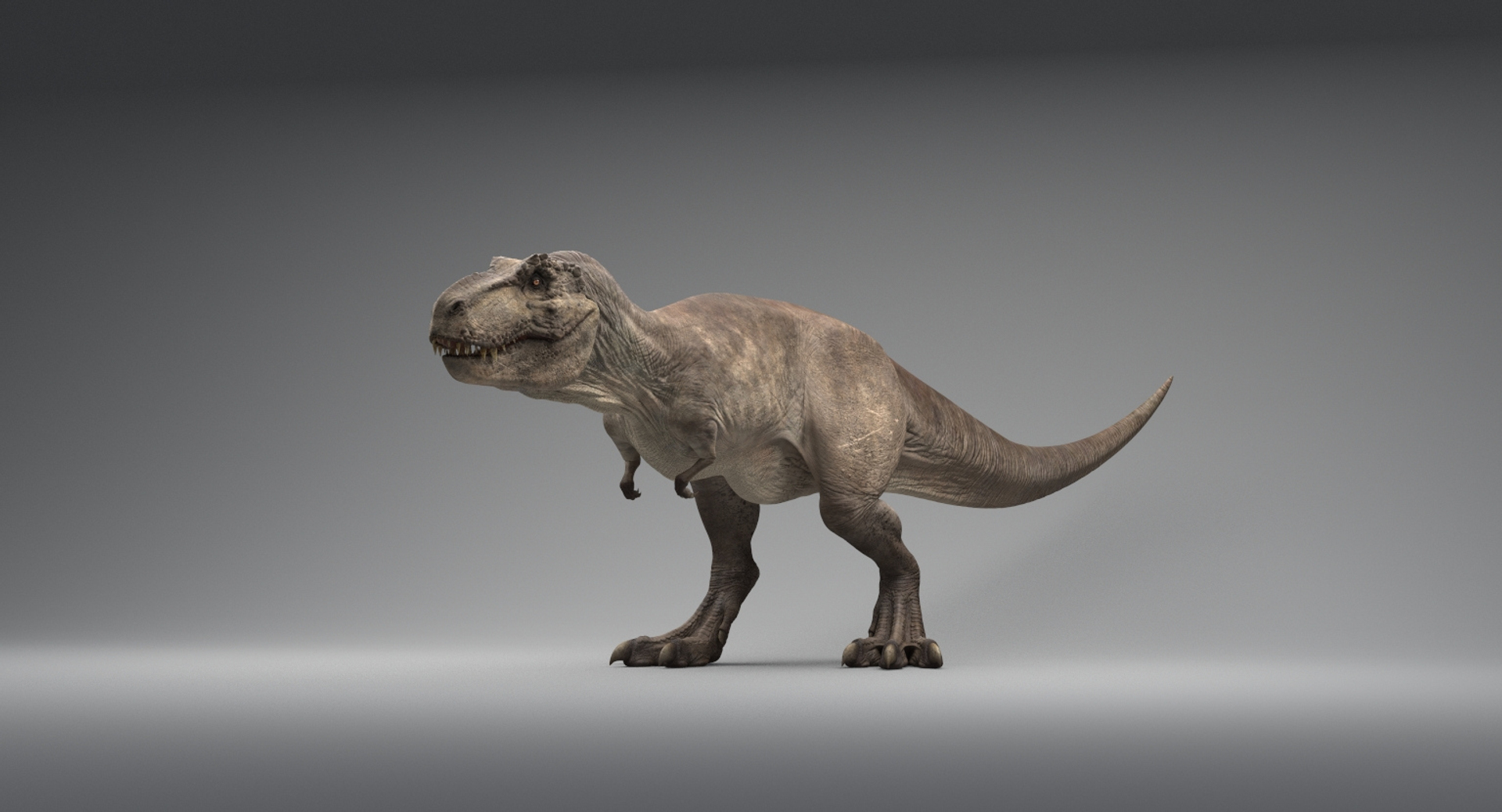 T-rex Rigging Animation 3D Model - TurboSquid 1194430