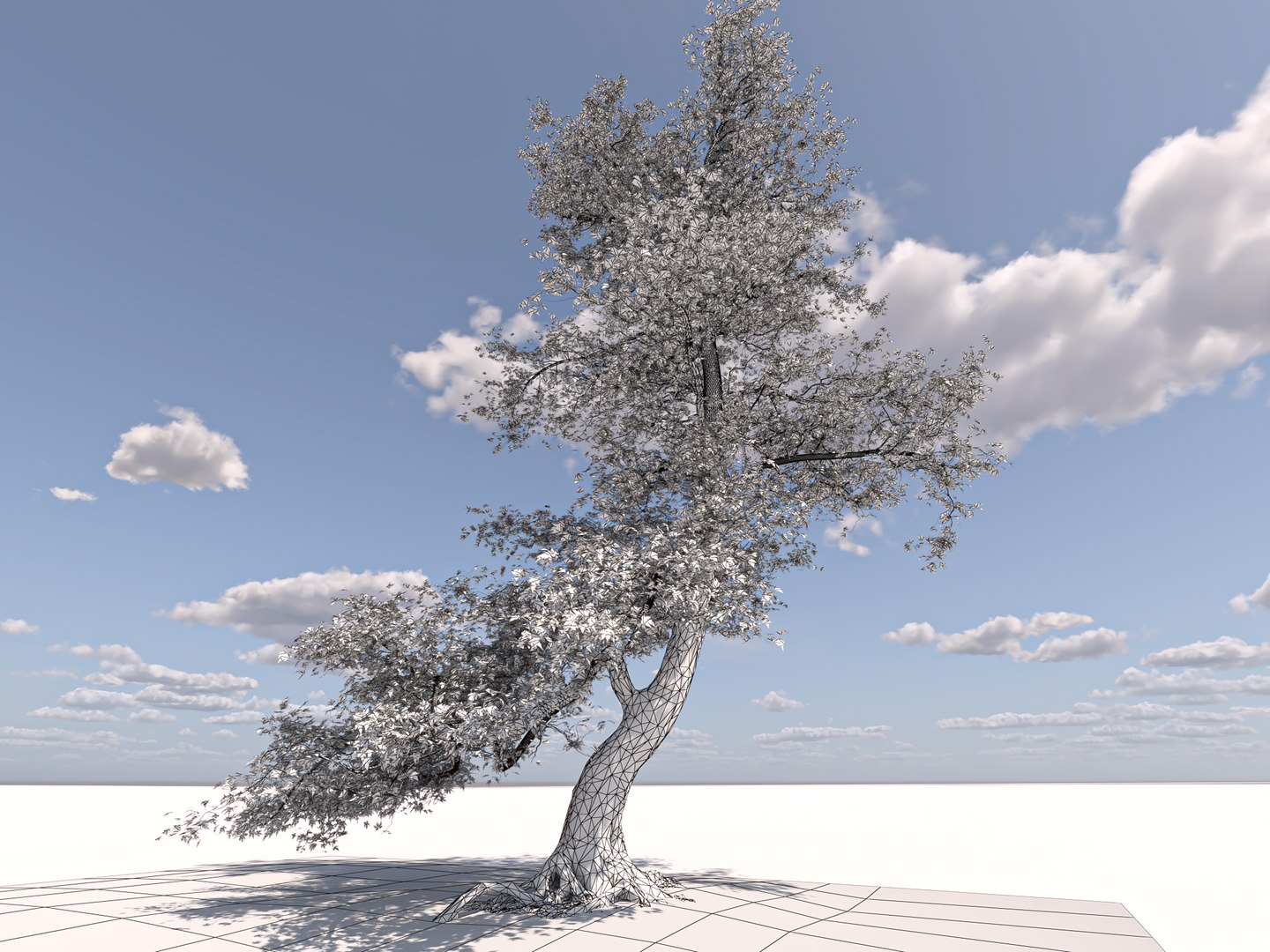 San Benedetto Plane Tree 3D Model - TurboSquid 2149610