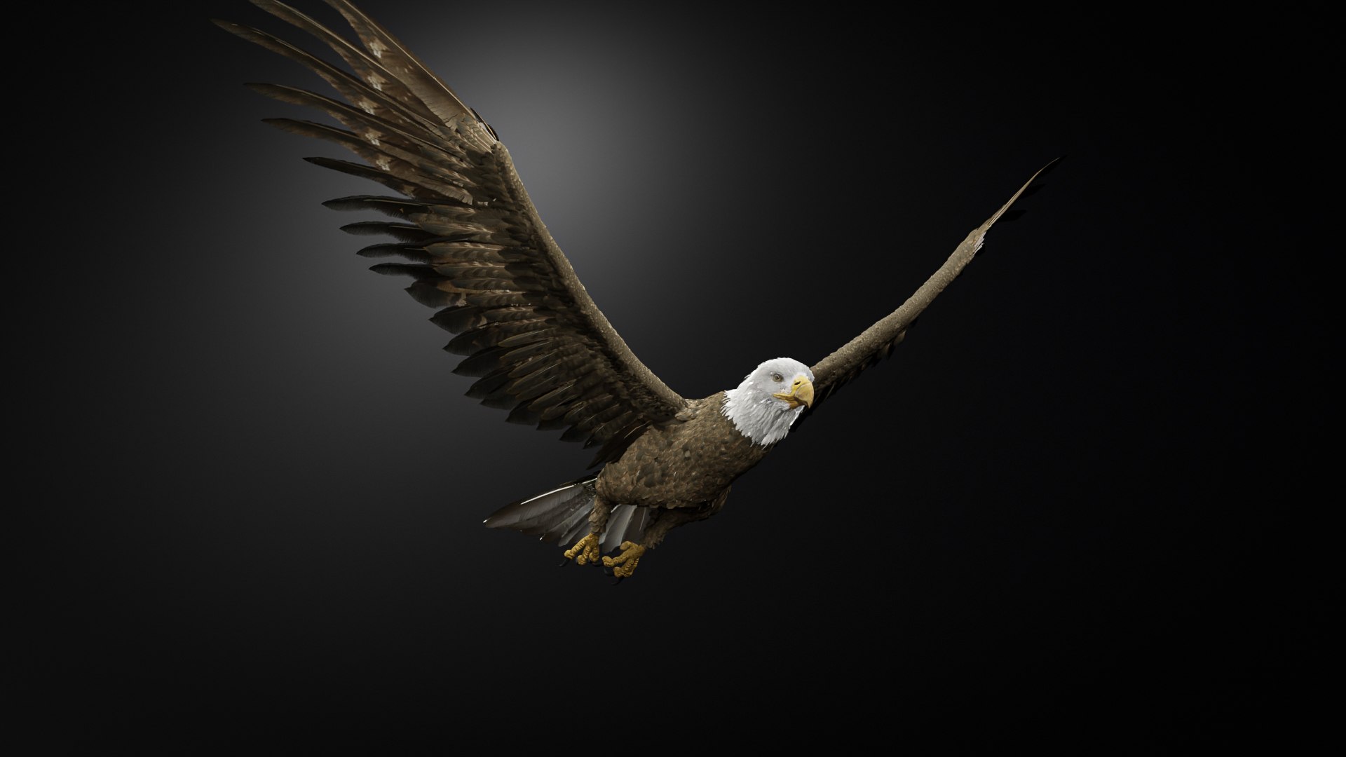 Bald Eagle 3D - TurboSquid 2293436