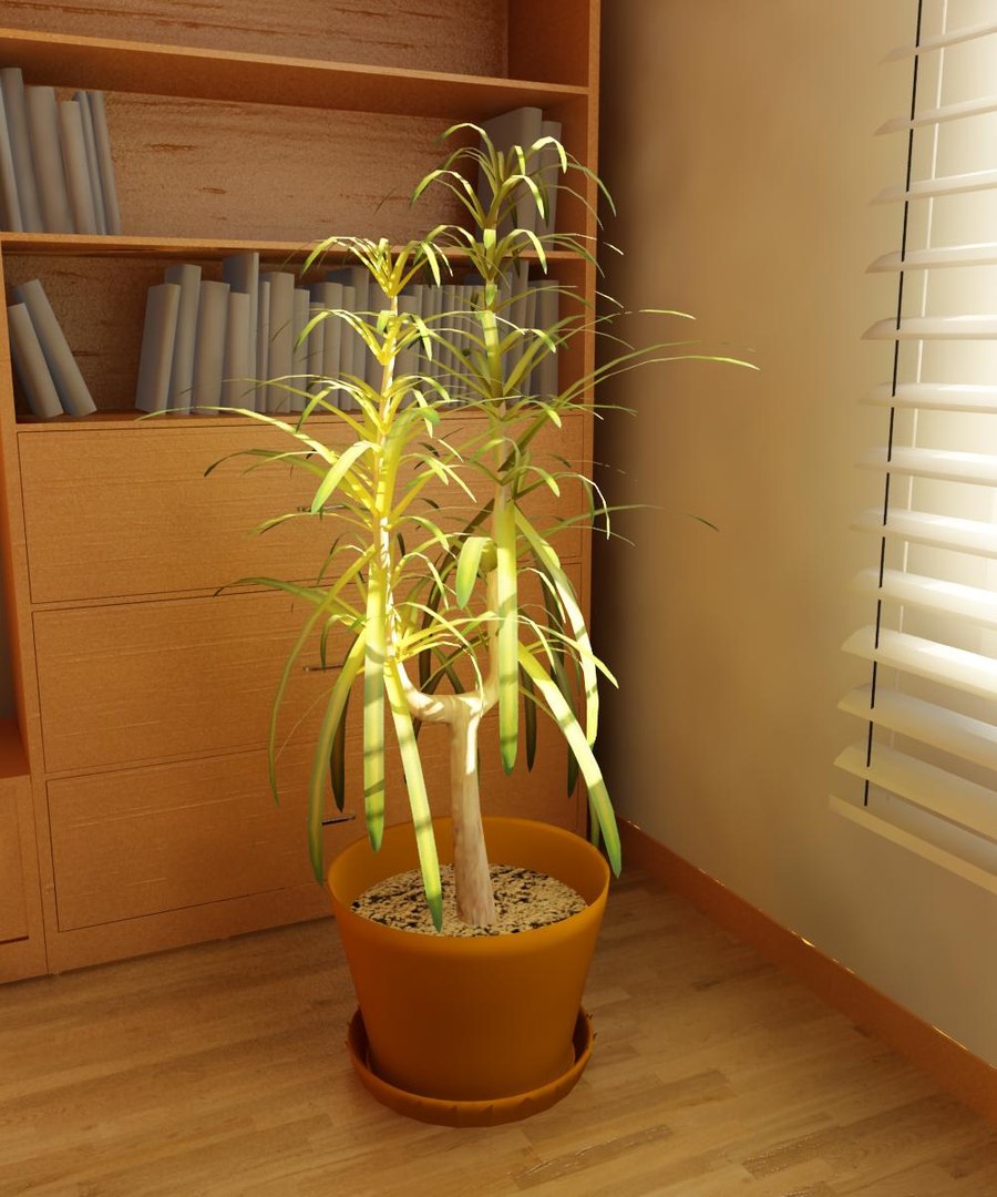 yuka-plant 3d max