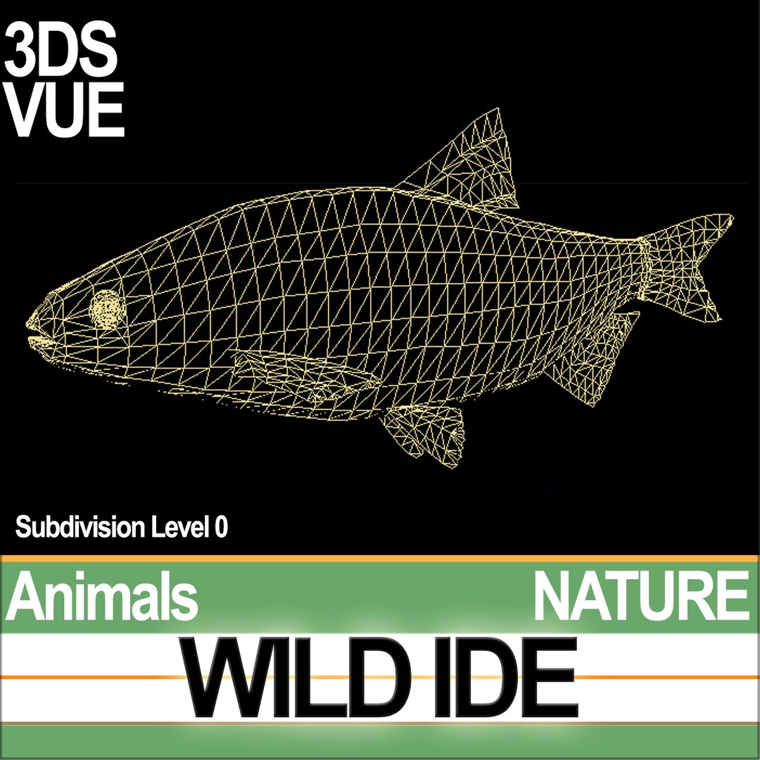 3d Wild Ide Model