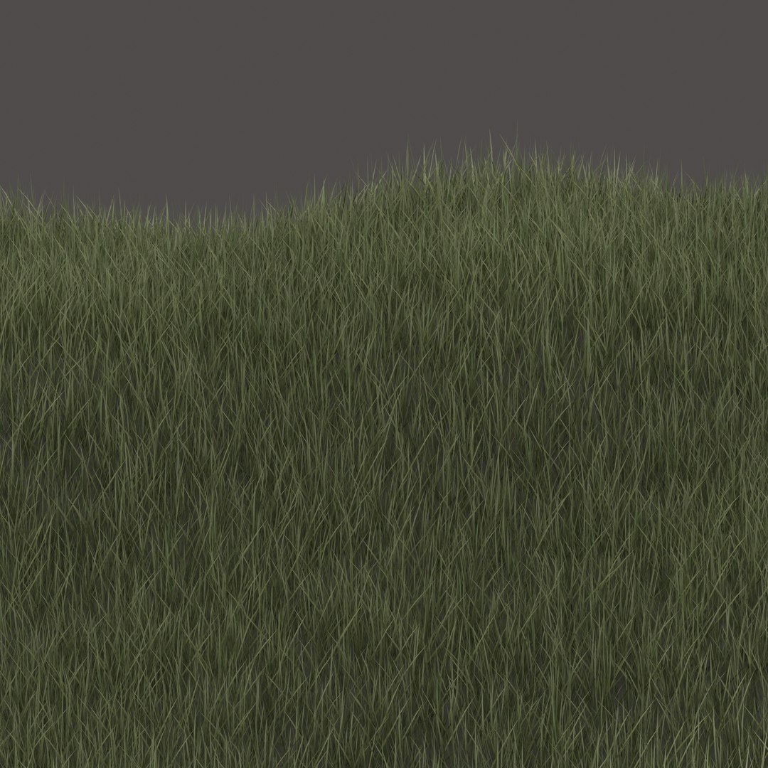 Grass sections 3D model - TurboSquid 1631952