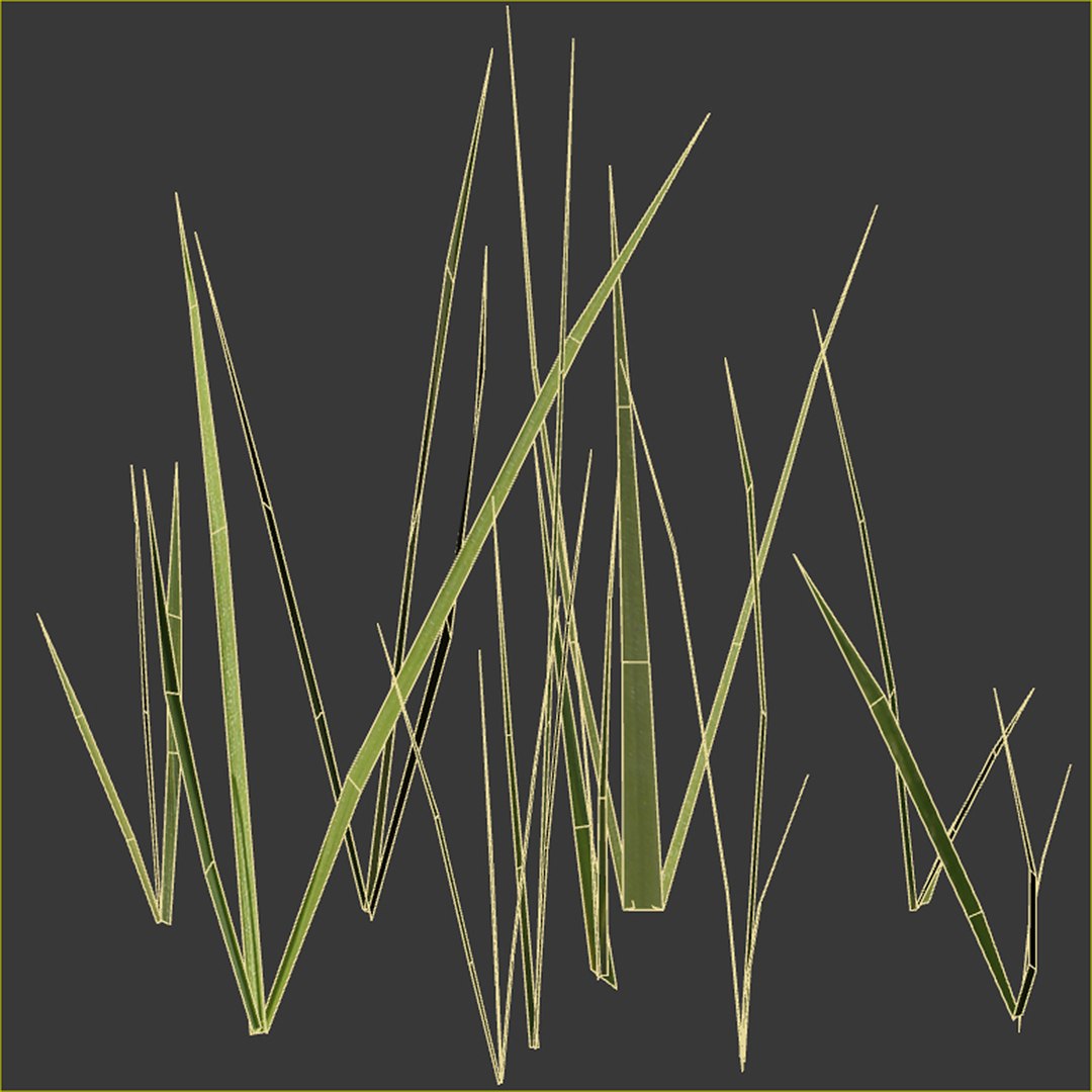 Grass sections 3D model - TurboSquid 1631952