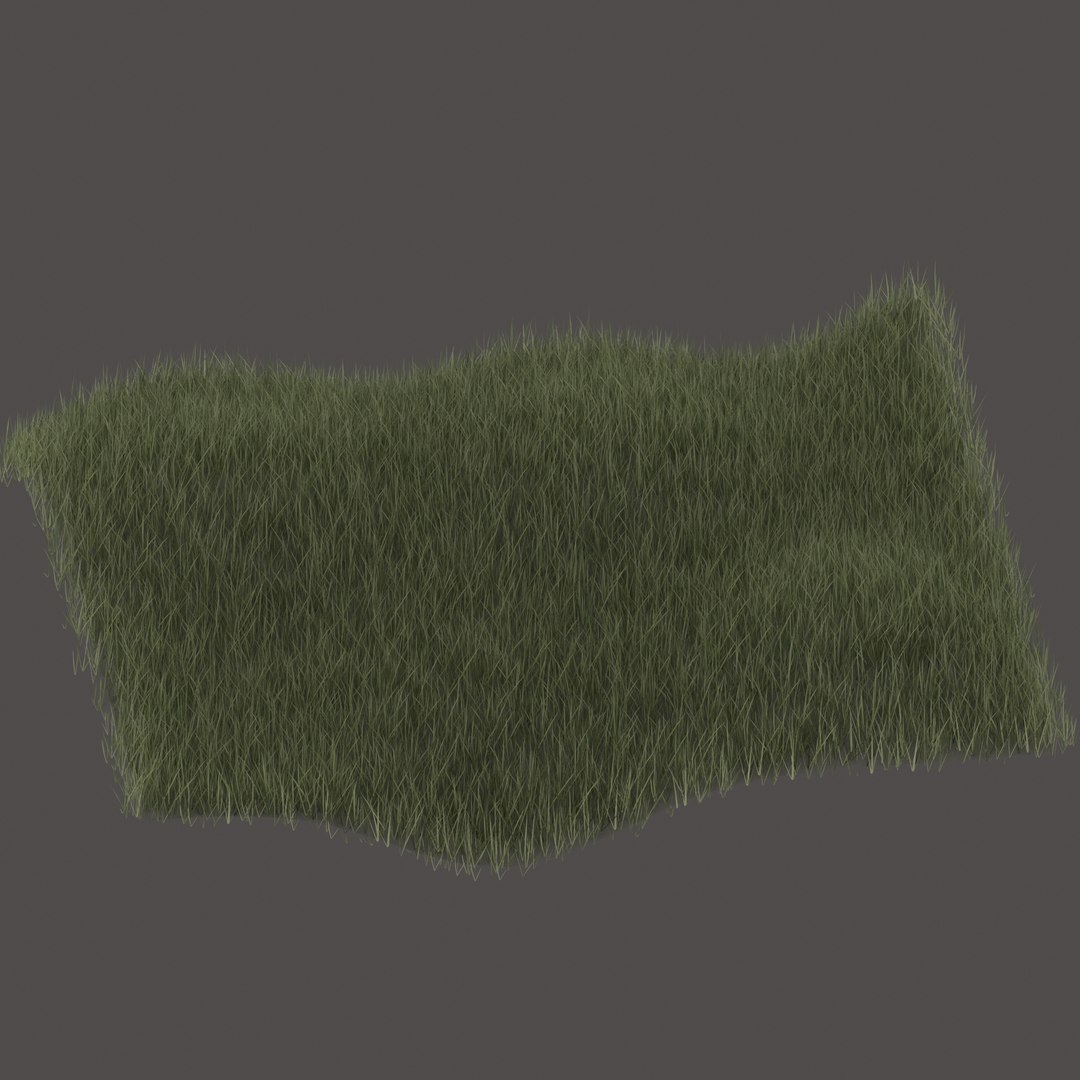 Grass sections 3D model - TurboSquid 1631952