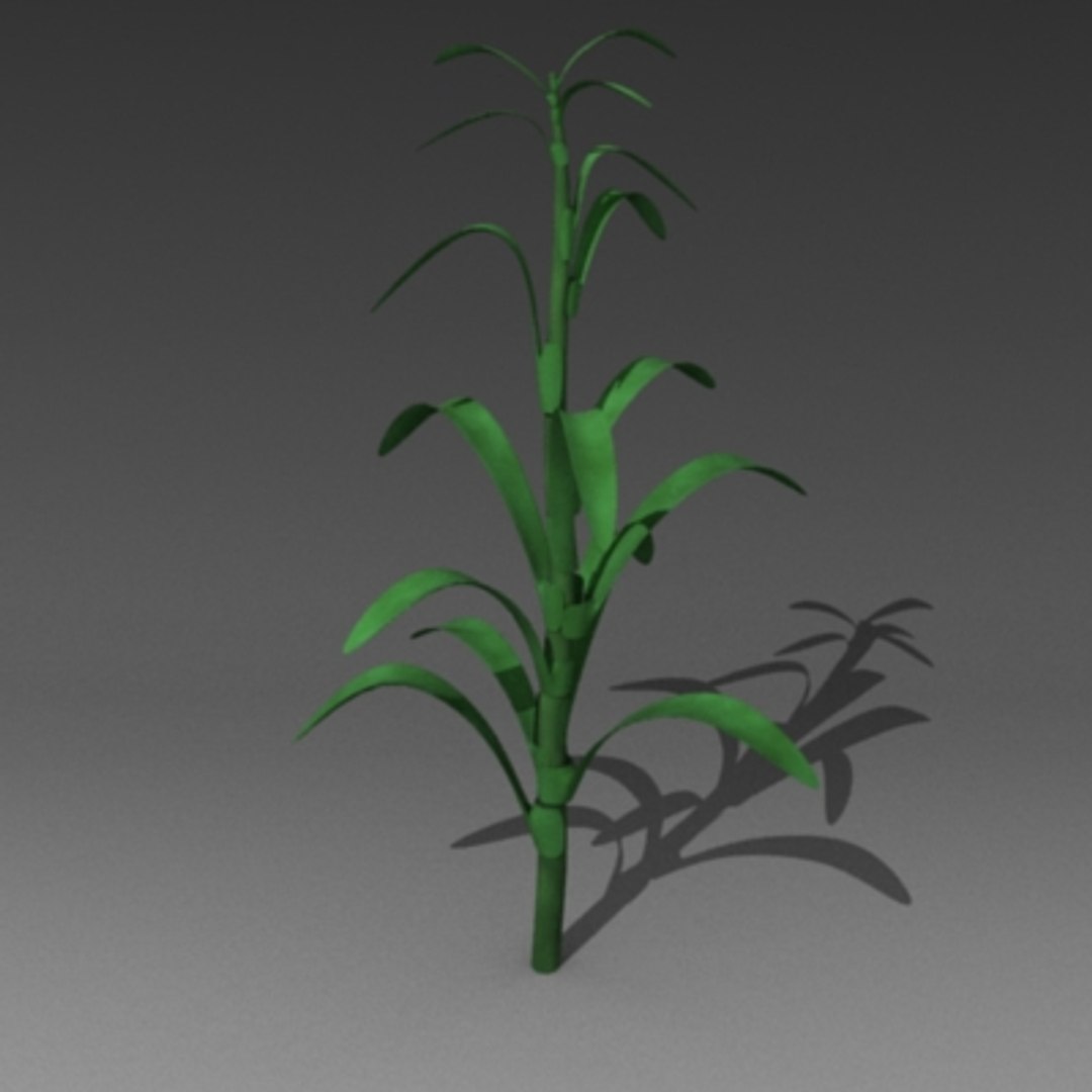 Corn Field 3d Model