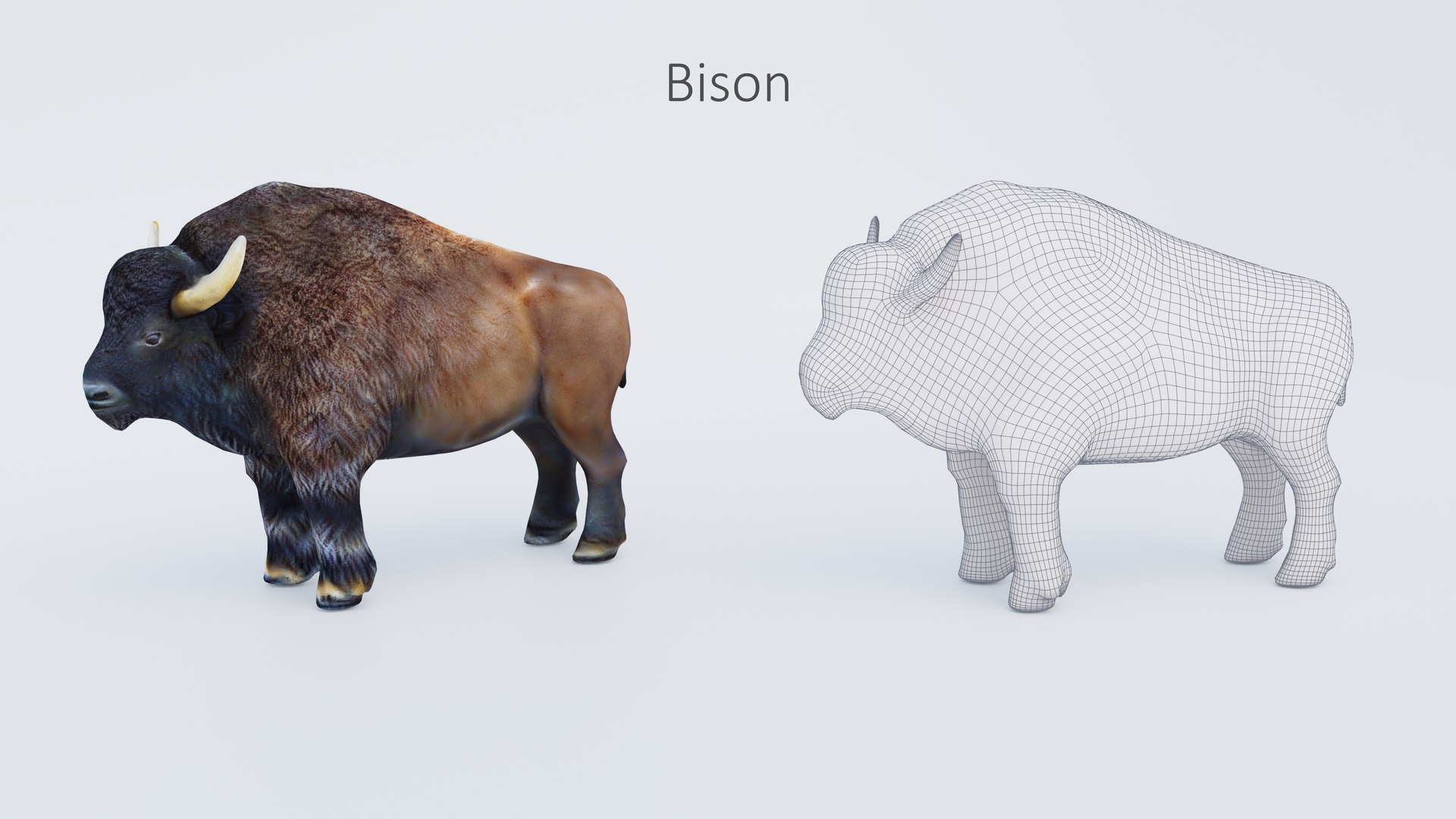 3D model 102 Animals Ultimate Collection - TurboSquid 2170821