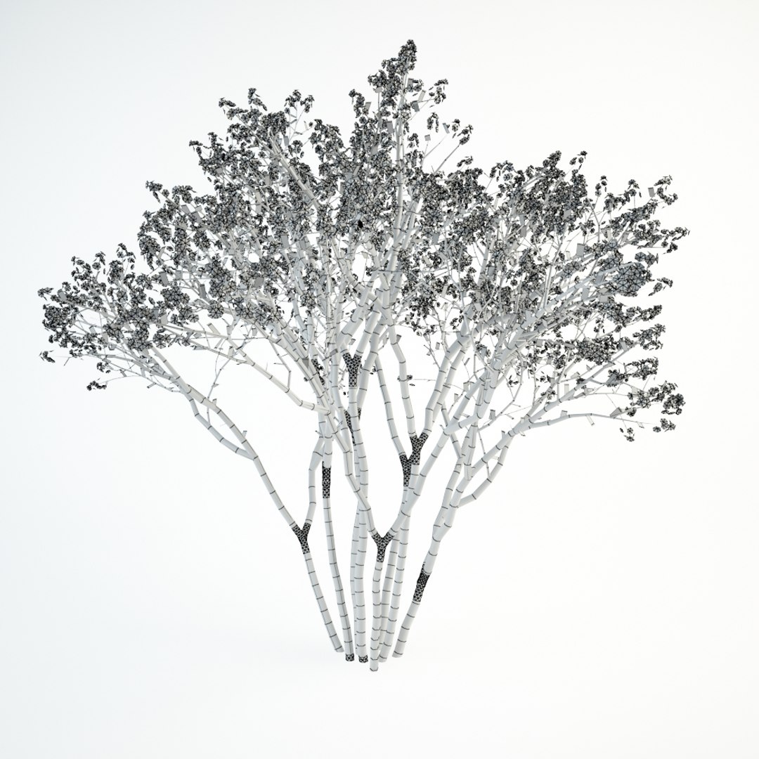 Blooming Juneberry Model - TurboSquid 1447014
