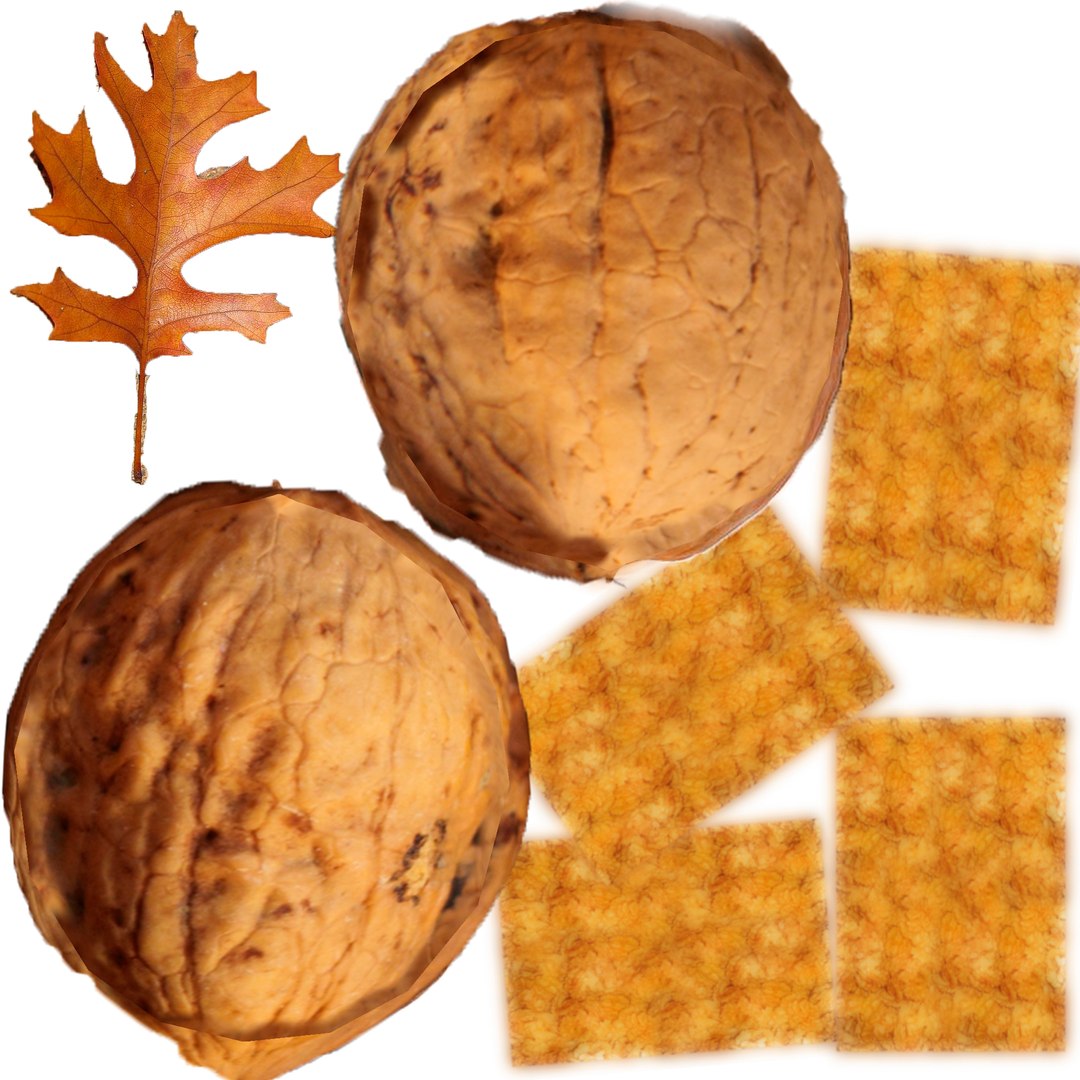 3D walnut model - TurboSquid 1218066