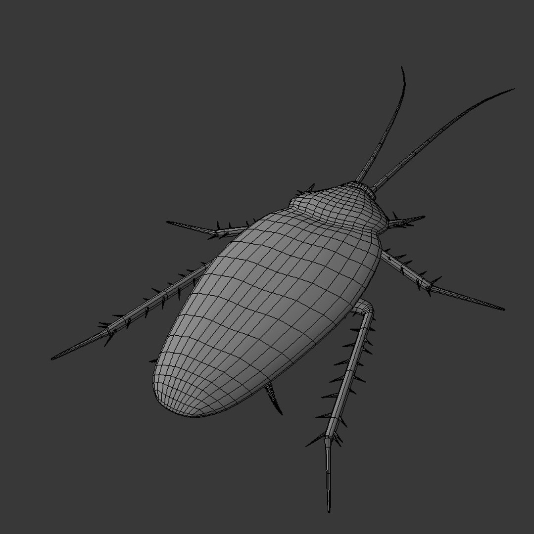 cockroach modeled max
