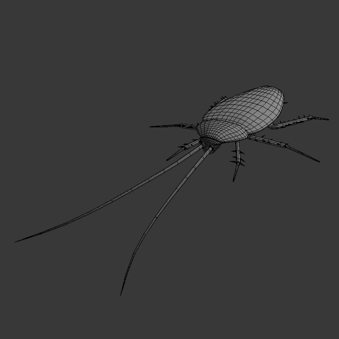 cockroach modeled max