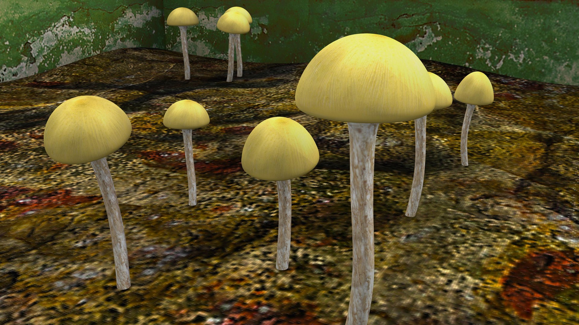 Compost Pit 3D Model - TurboSquid 1803262