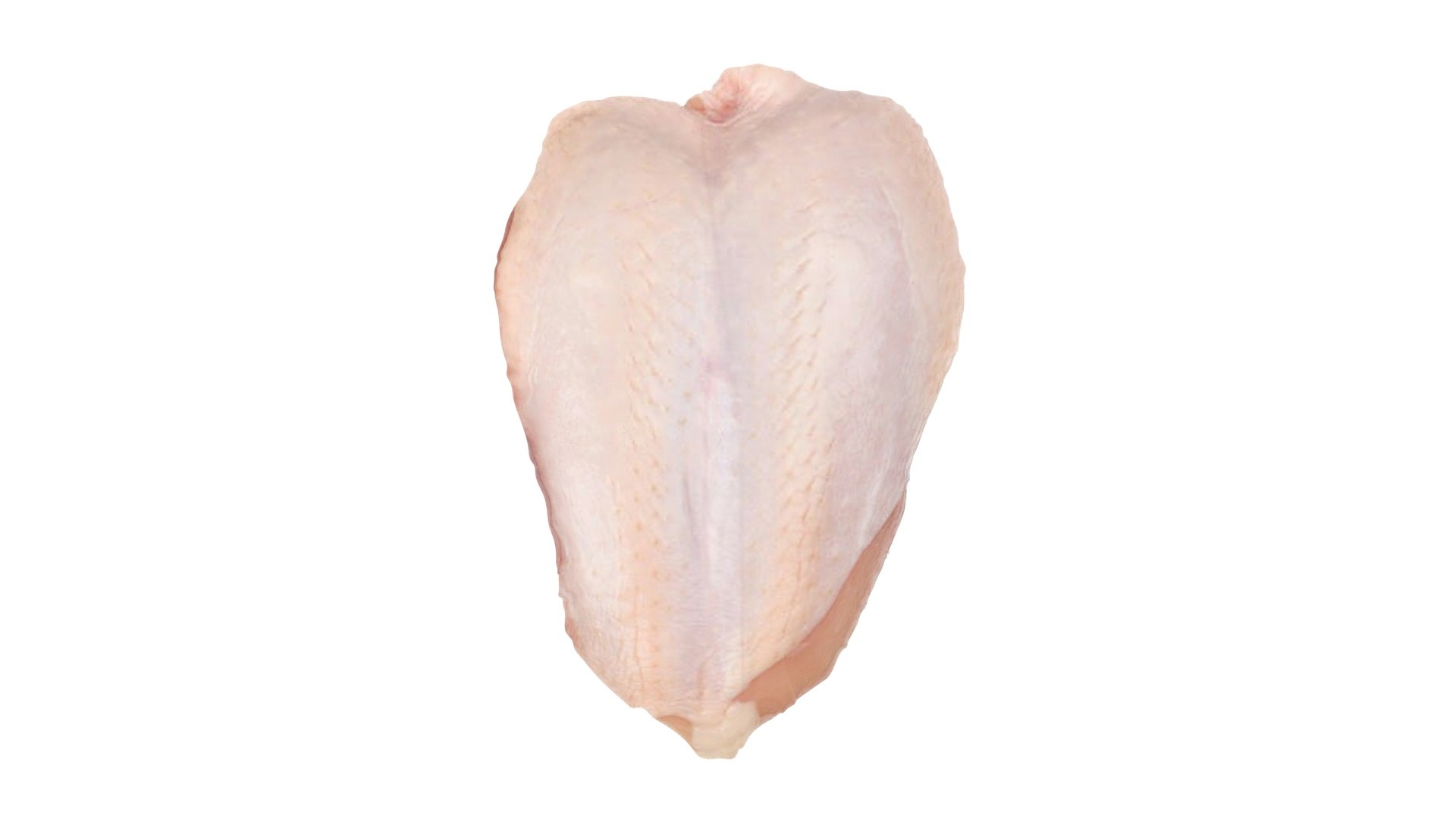 Chicken Chest 3D Model - TurboSquid 2249652