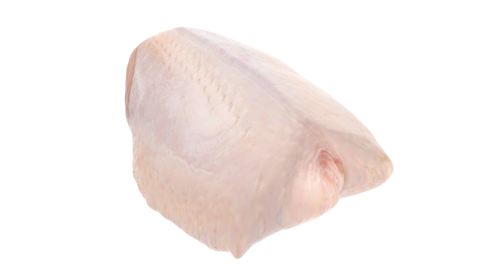 Chicken Chest 3D Model - TurboSquid 2249652