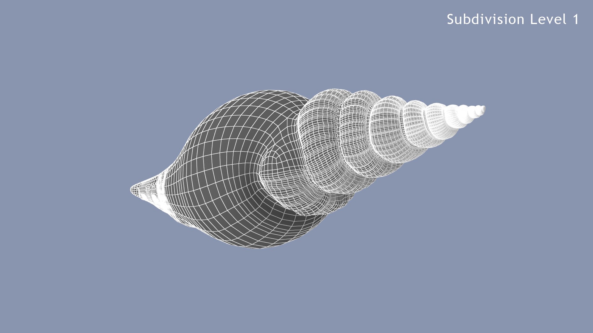 3D Sea Shell 02 01 Model - TurboSquid 1736525