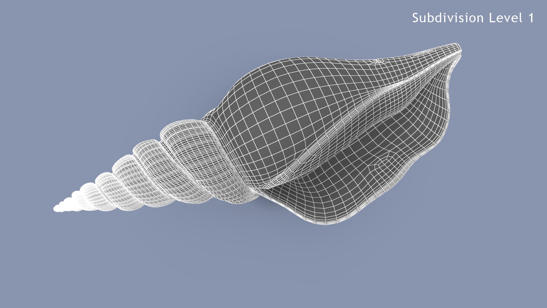 3D Sea Shell 02 01 Model - TurboSquid 1736525