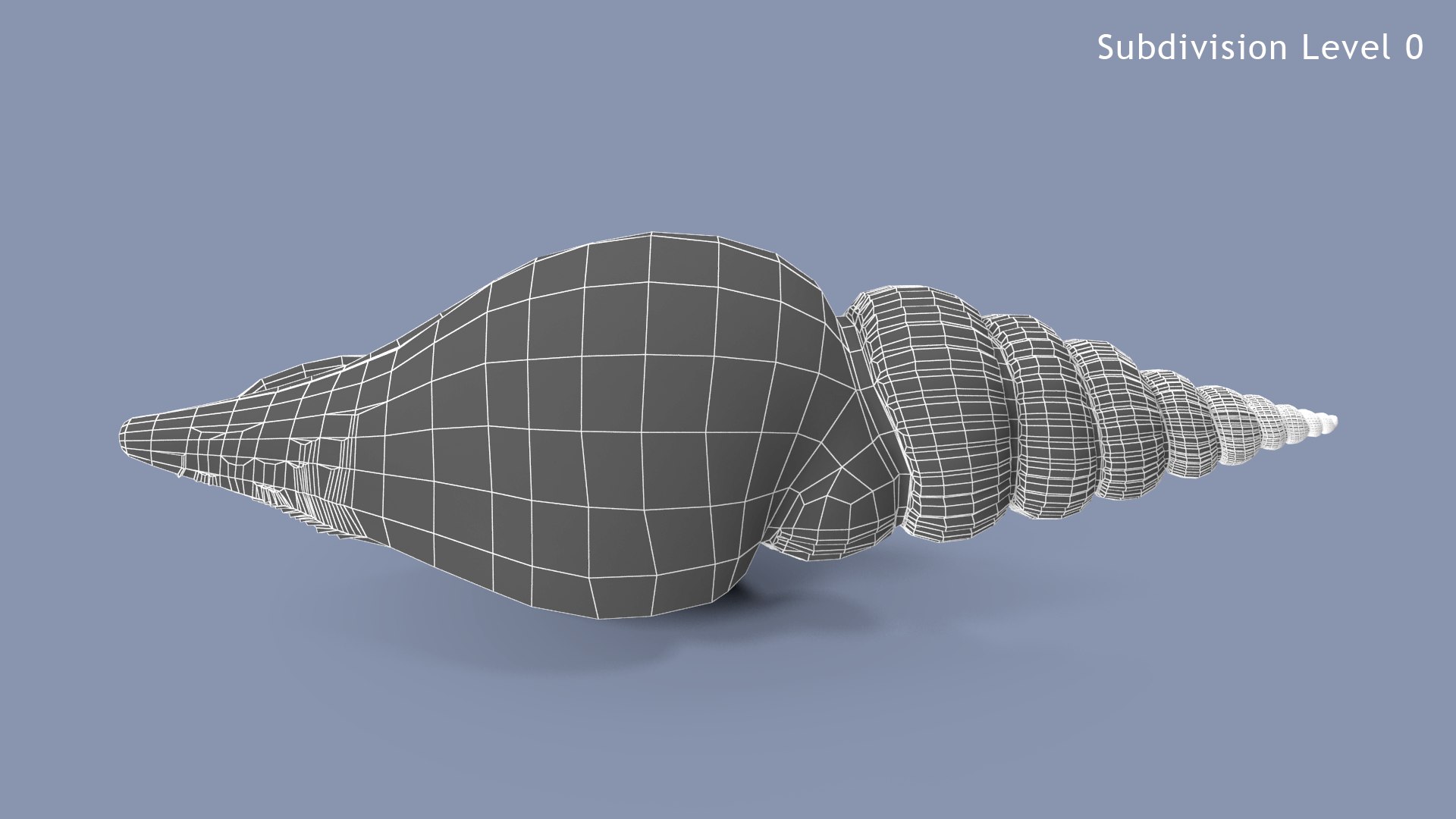 3D Sea Shell 02 01 Model - TurboSquid 1736525