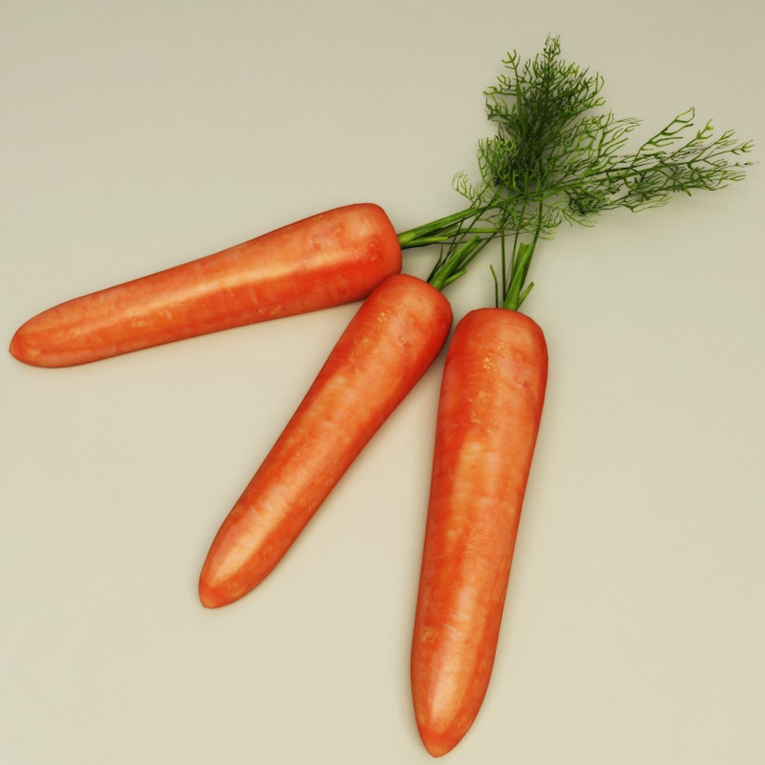 Maya Carrot Modelled
