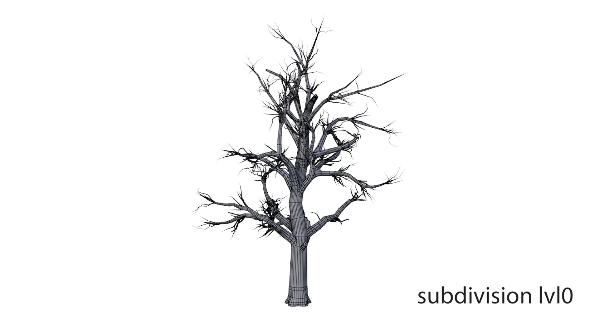 Dry tree 3D model - TurboSquid 1215647