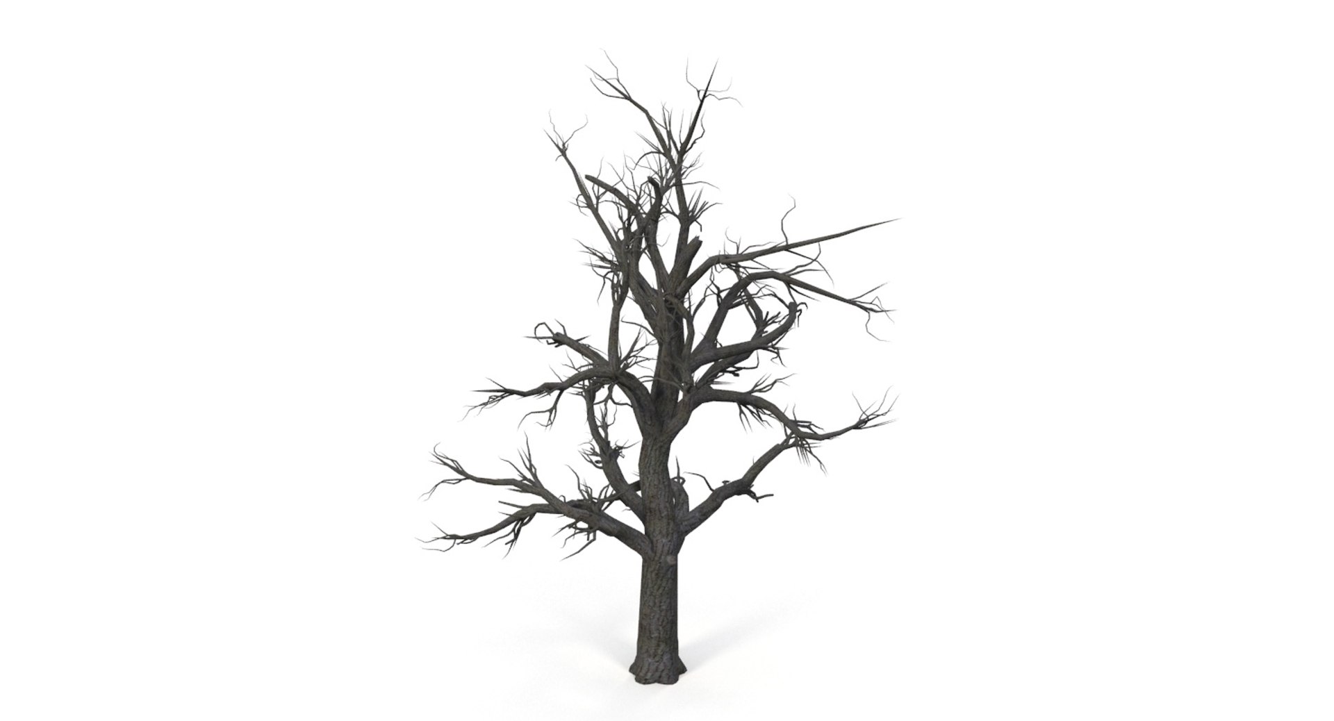 Dry tree 3D model - TurboSquid 1215647