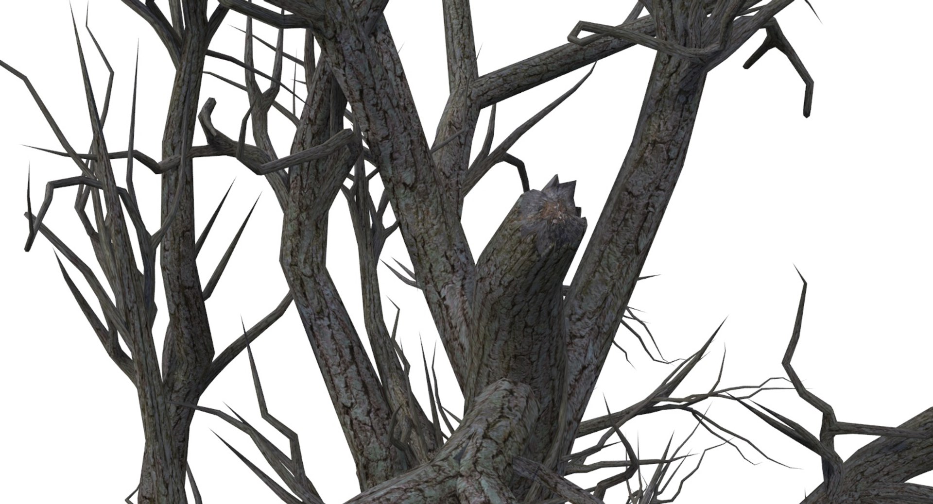 Dry tree 3D model - TurboSquid 1215647