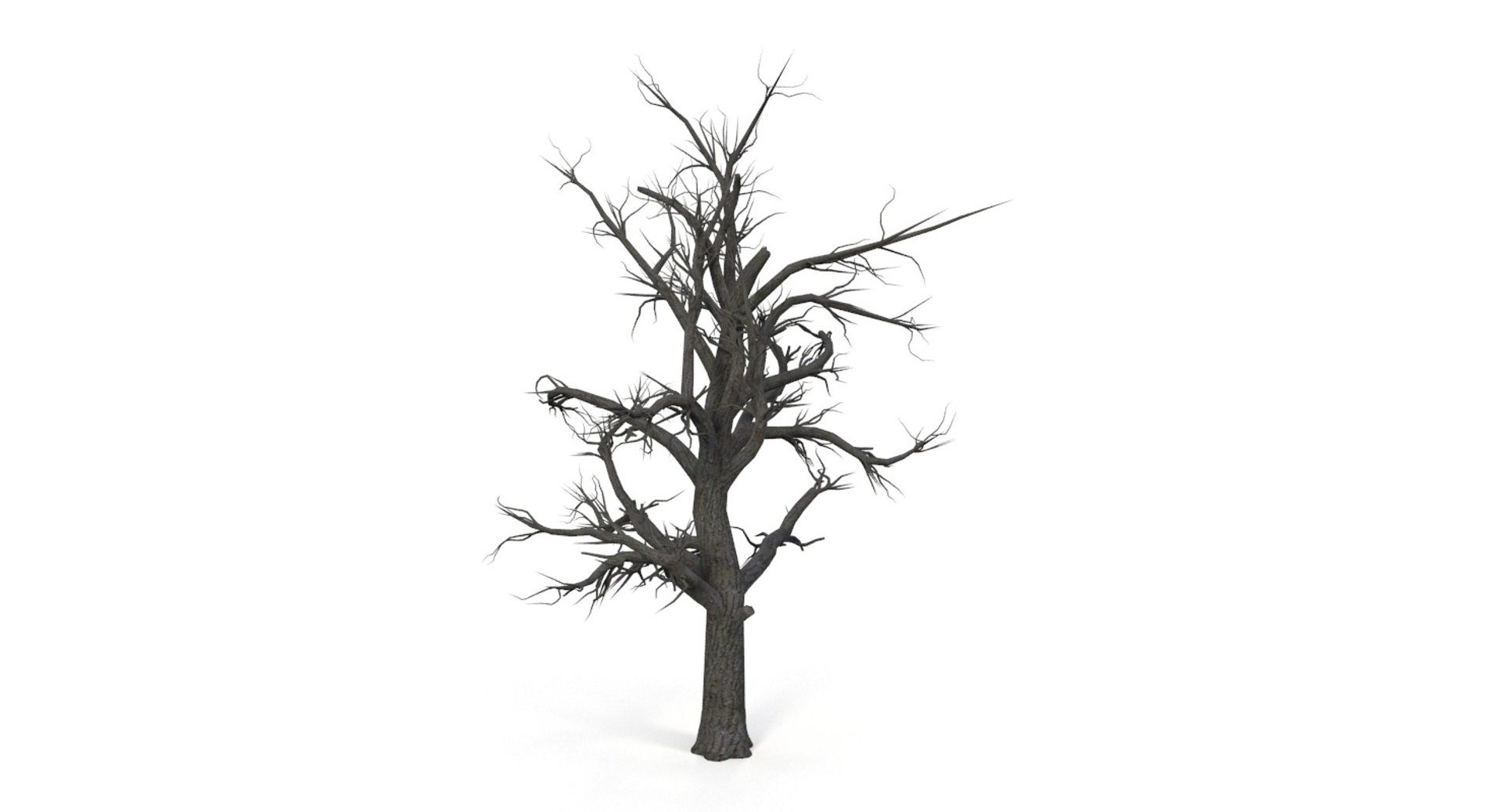 Dry tree 3D model - TurboSquid 1215647