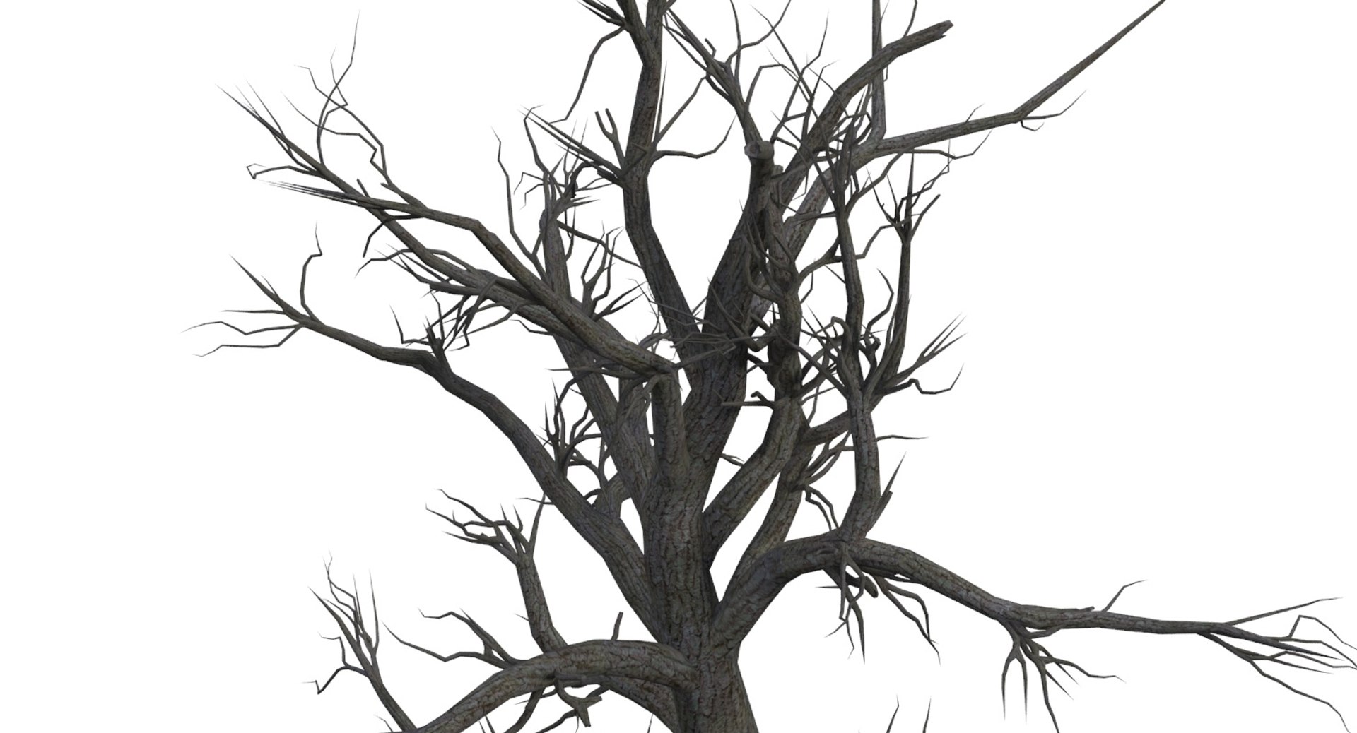 Dry tree 3D model - TurboSquid 1215647