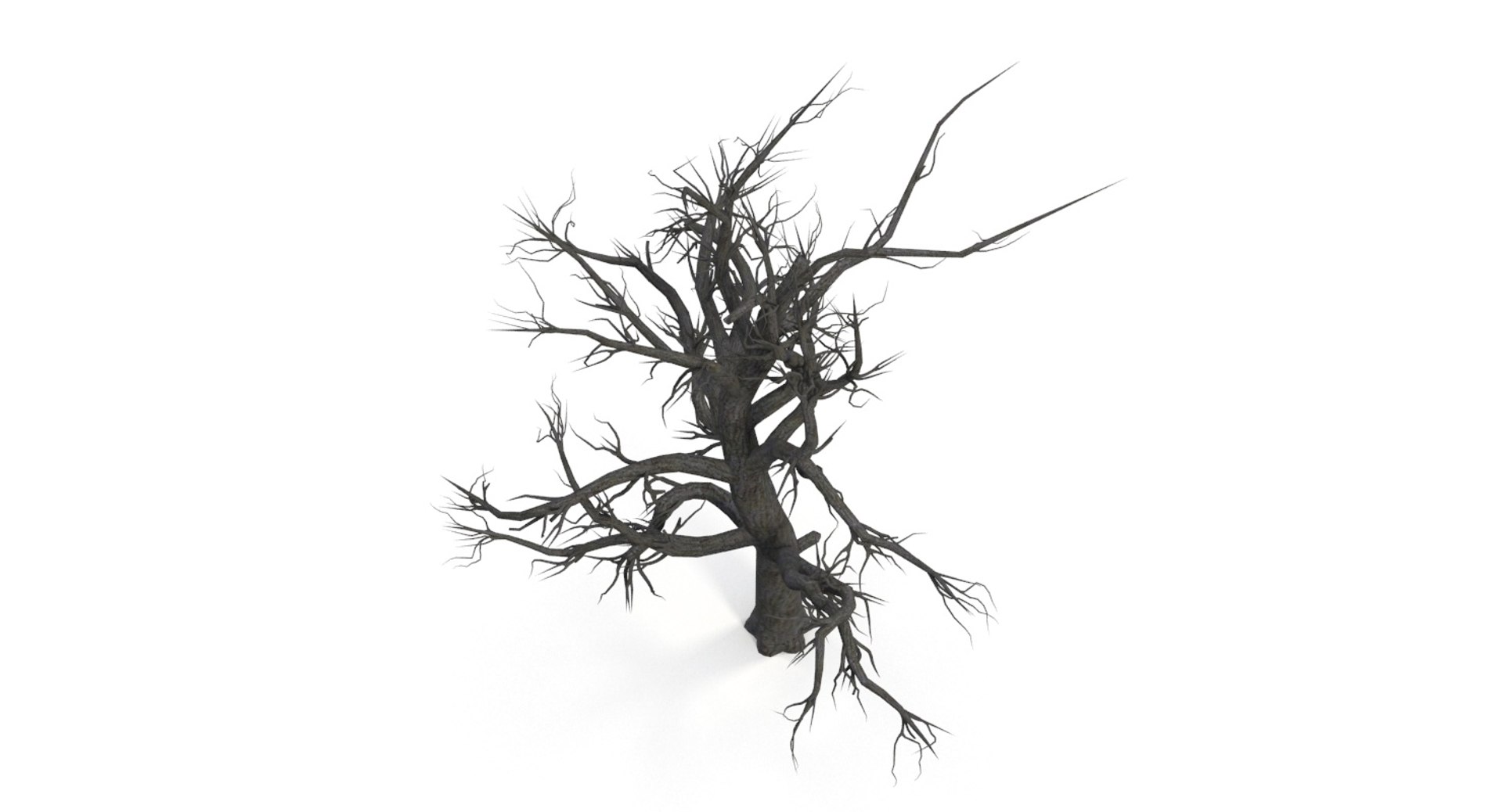 Dry tree 3D model - TurboSquid 1215647