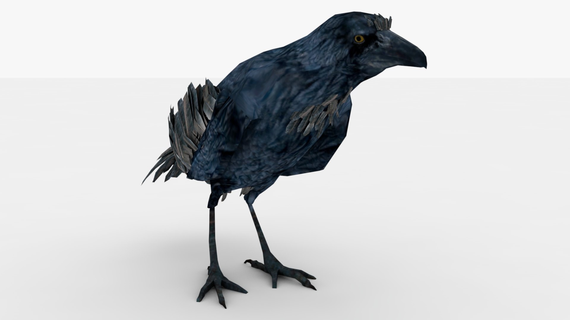 Crow Rigged And Animated 3D - TurboSquid 2348747