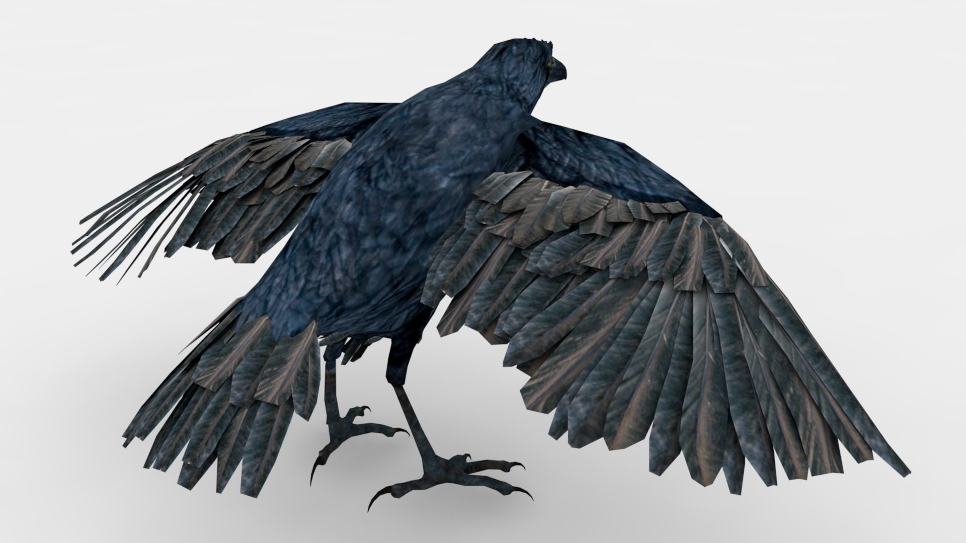 Crow Rigged And Animated 3D - TurboSquid 2348747