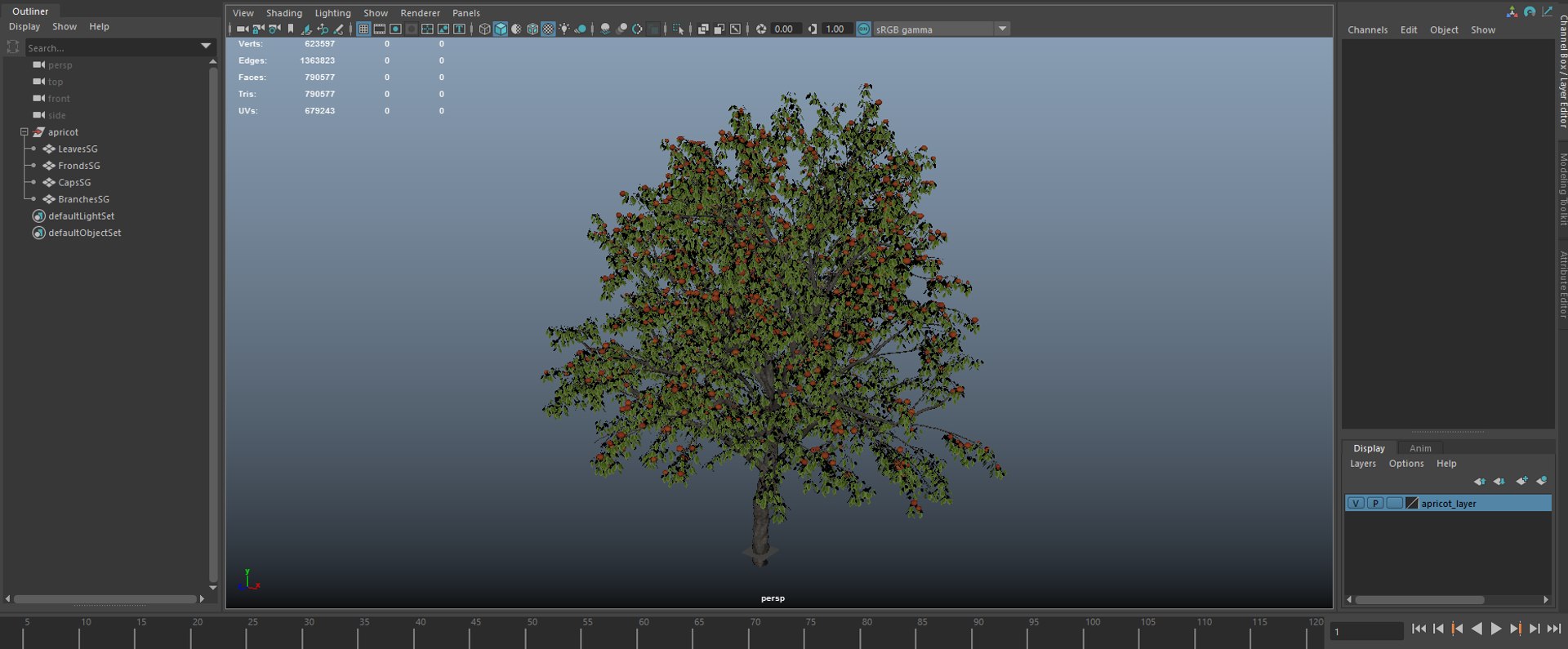 Apricot hight fruity 3D model - TurboSquid 1619439