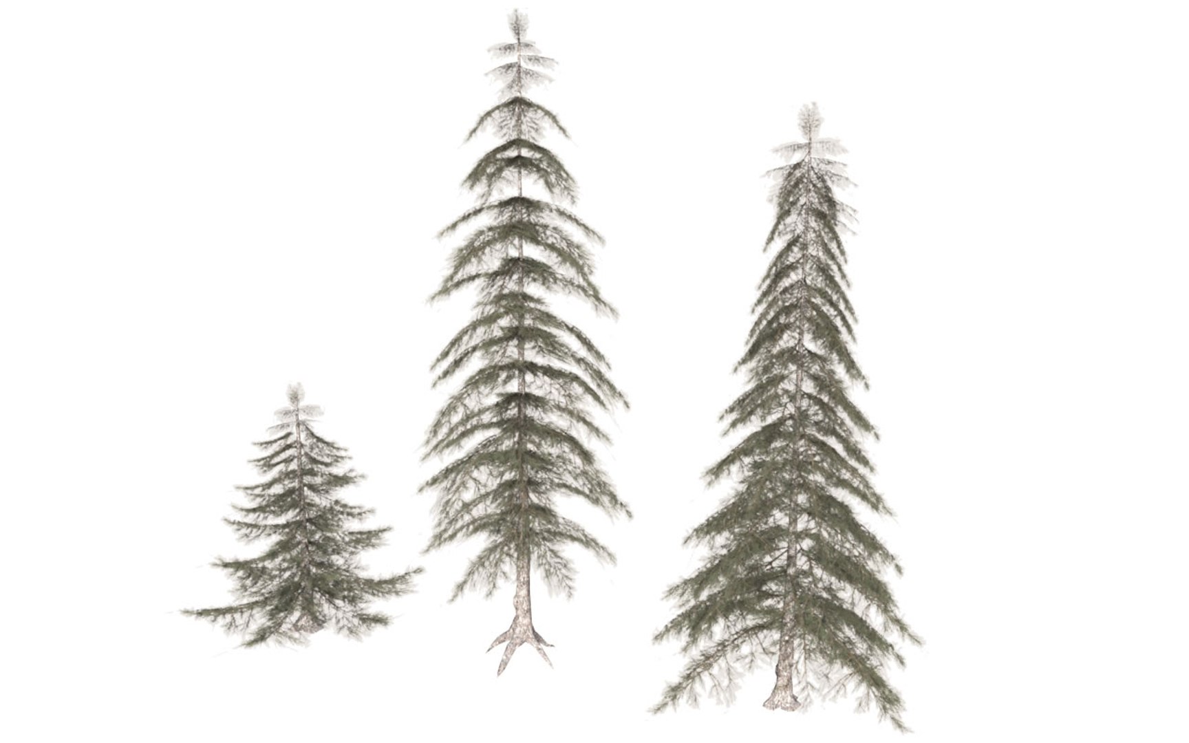 3D Conifer Trees - TurboSquid 1513550