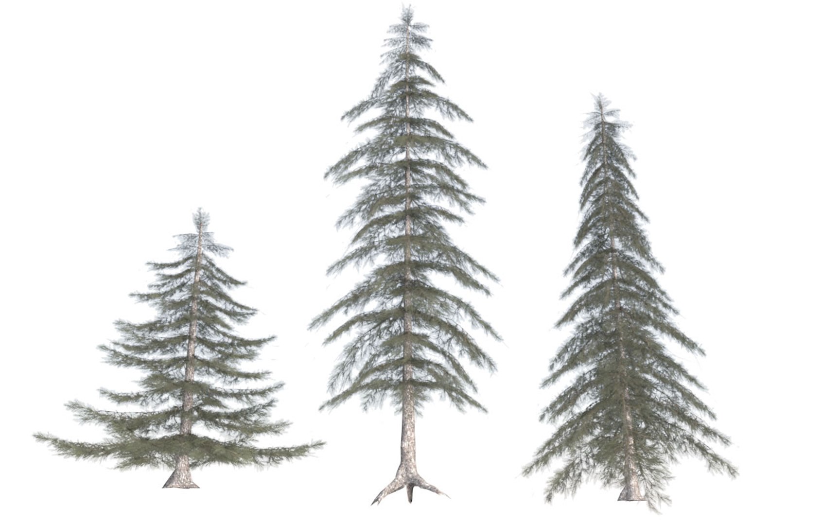 3D Conifer Trees - TurboSquid 1513550